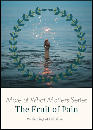 More of What Matters - The Fruit of Pain - Wellspring of Life